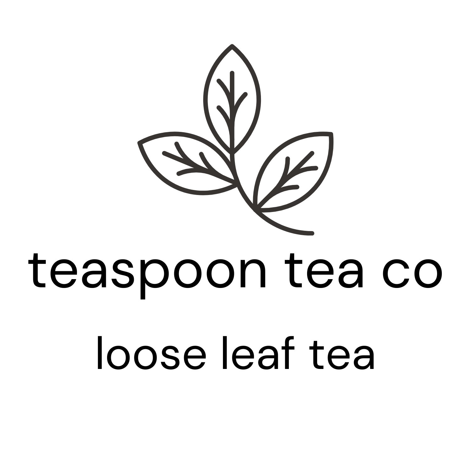 Loose Tea Infusers – Teaspoon Tea Co